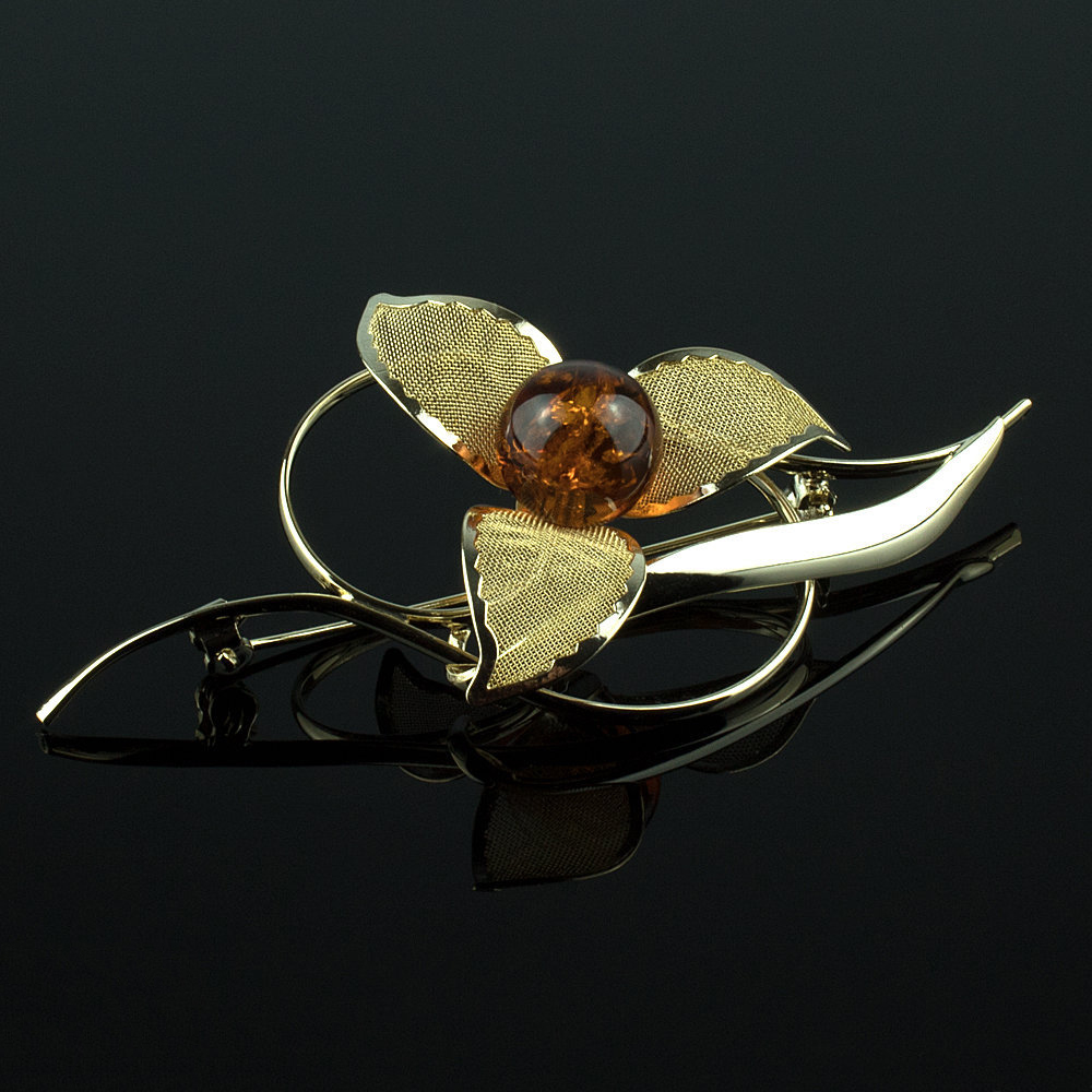 Precious Amber | Traditional Healing & Modern Amber Jewellery